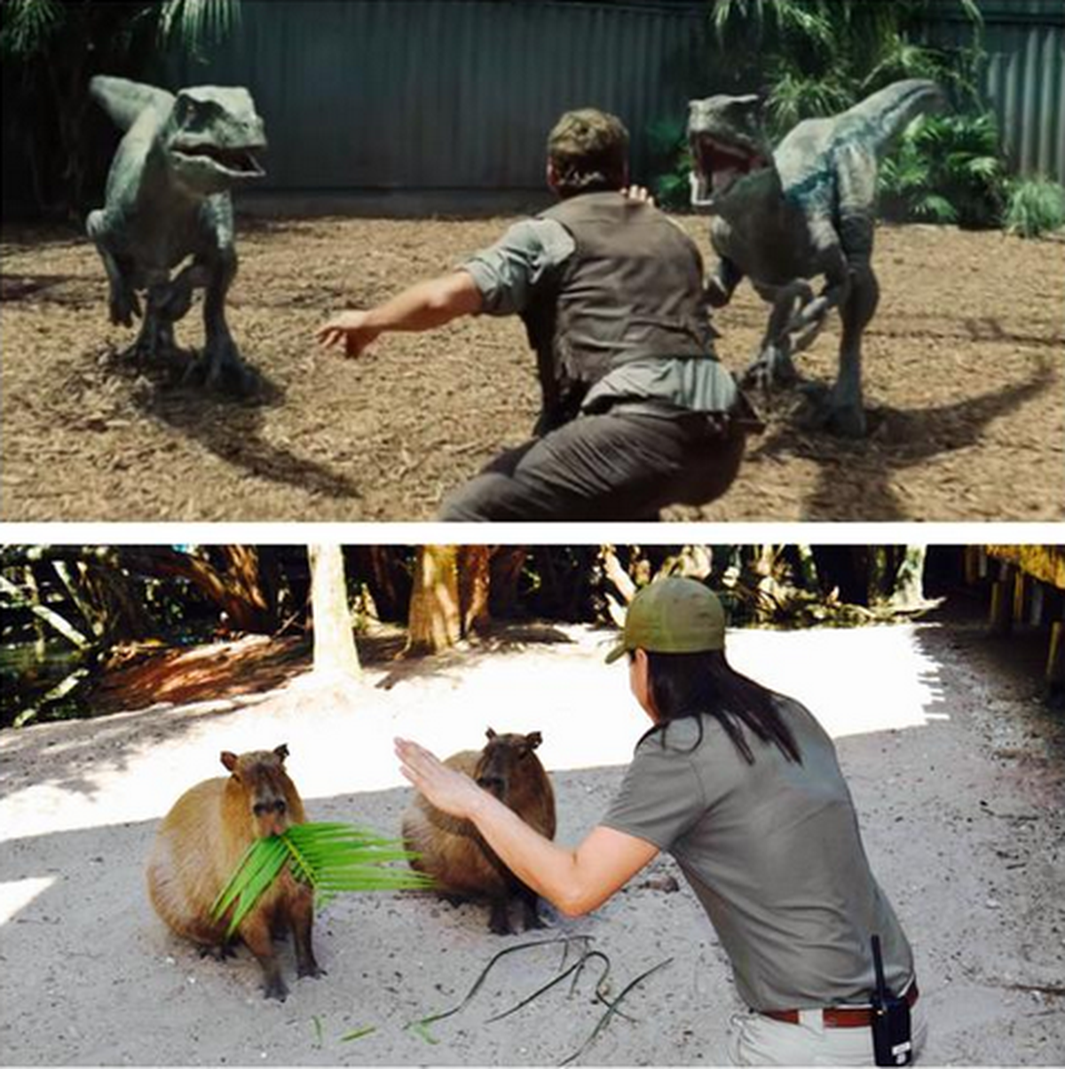 Jurassic World: los mejores memes