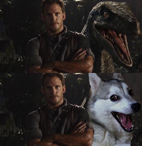 Jurassic World: los mejores memes - HobbyConsolas Entretenimiento