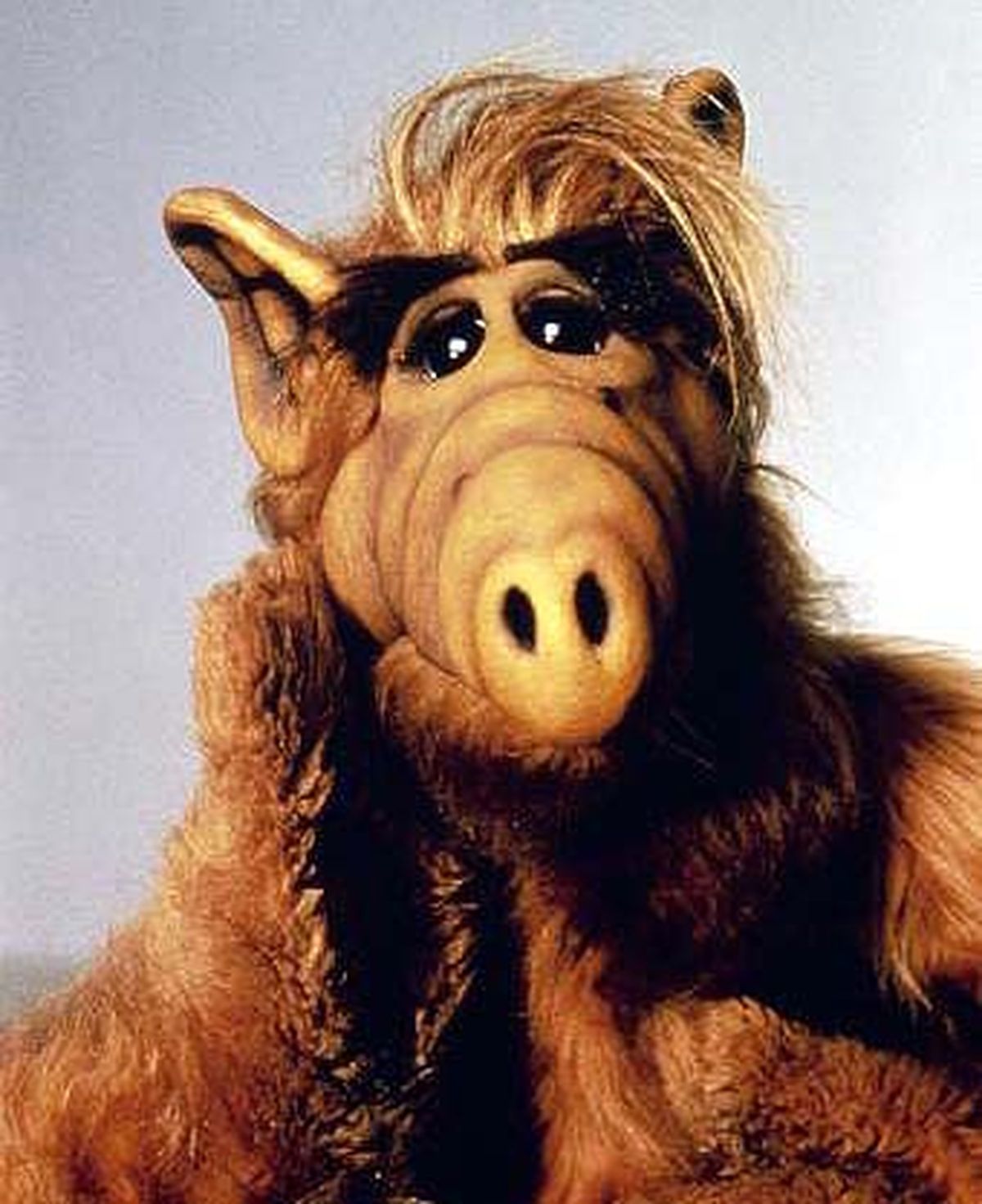 ALF podría tener un remake en la NBC