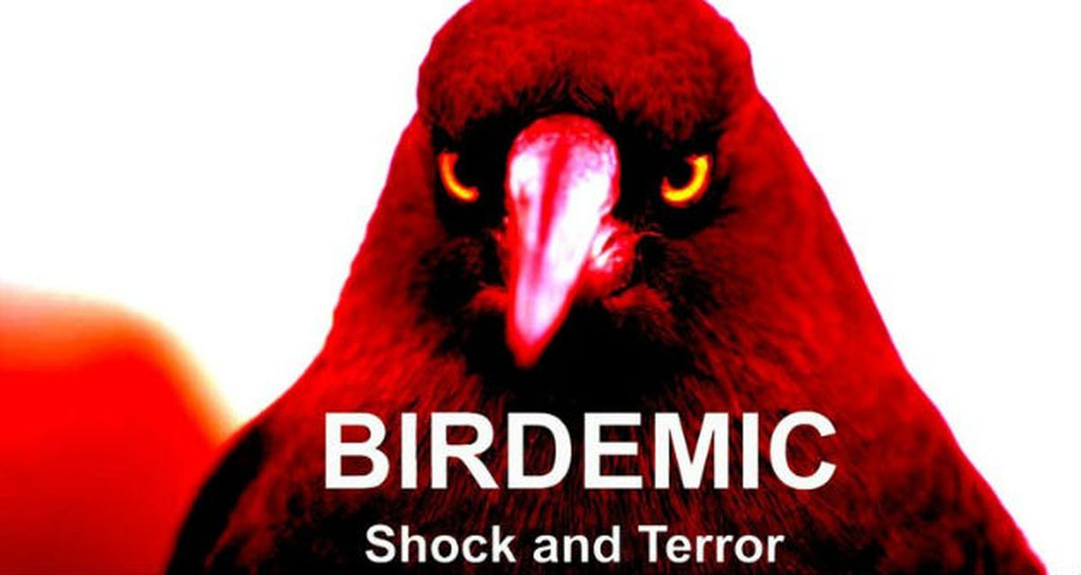 Birdemic: Shock and Terror (2010) | Hobby Consolas