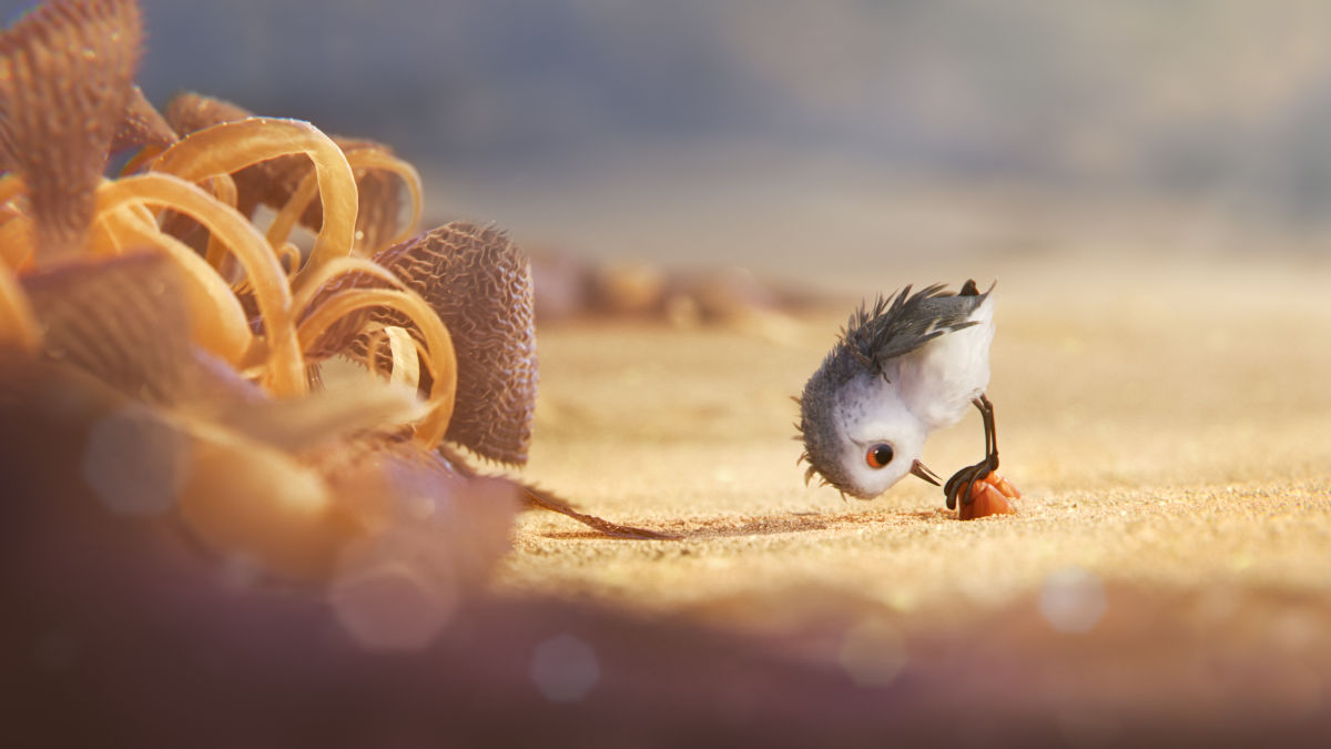 Piper - El corto más tierno de Pixar al completo online - HobbyConsolas ...