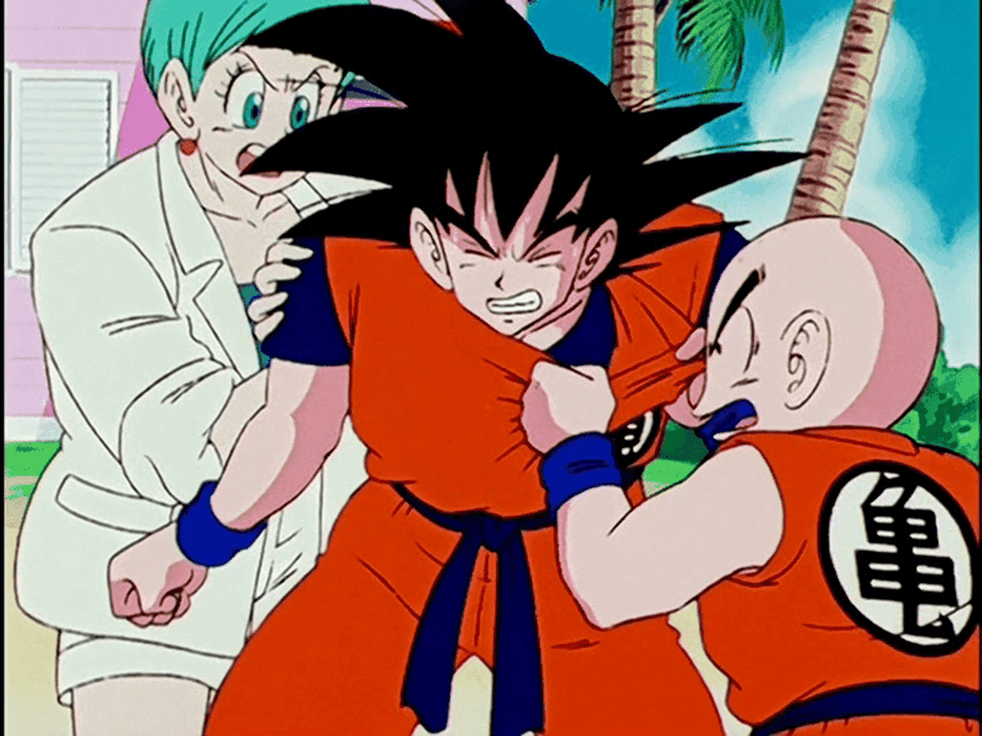 Dragon Ball Z capítulo 3 - Análisis y curiosidades
