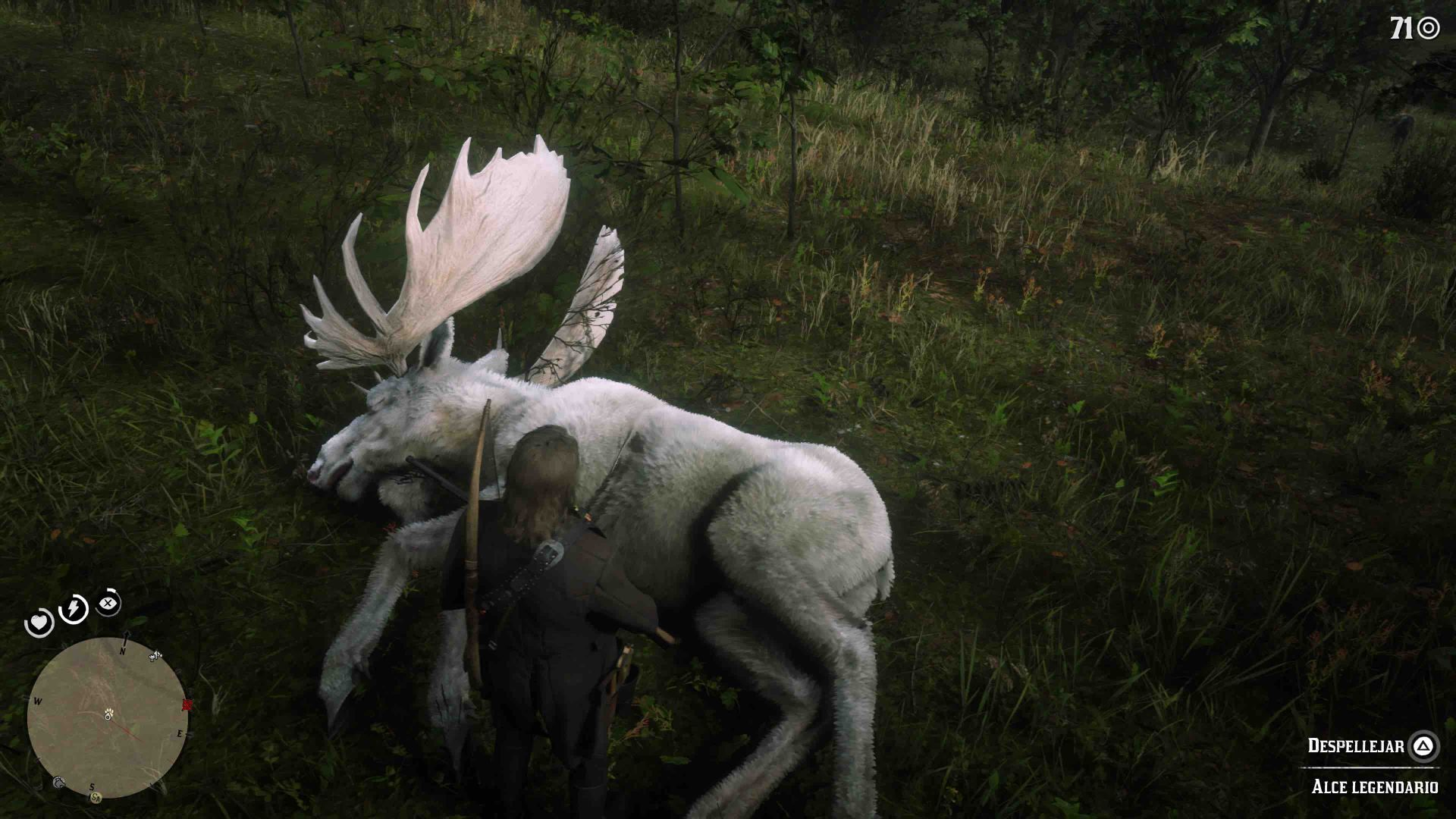 Dónde encontrar todos los animales en Red Dead Redemption 2