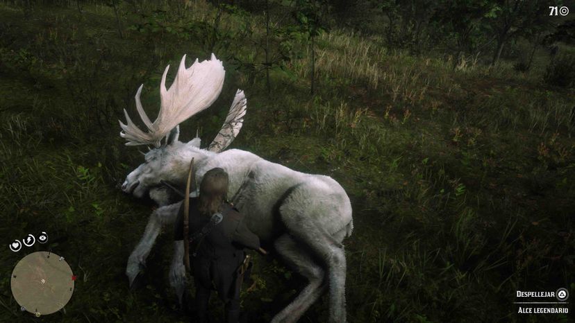 Dónde encontrar todos los animales en Red Dead Redemption 2