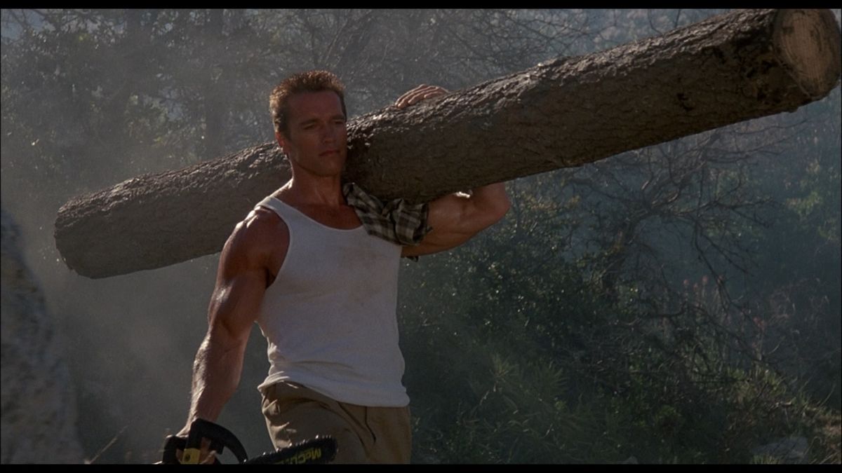 Se cumplen 35 años del estreno de Commando en España, ¡Schwarzenegger ...