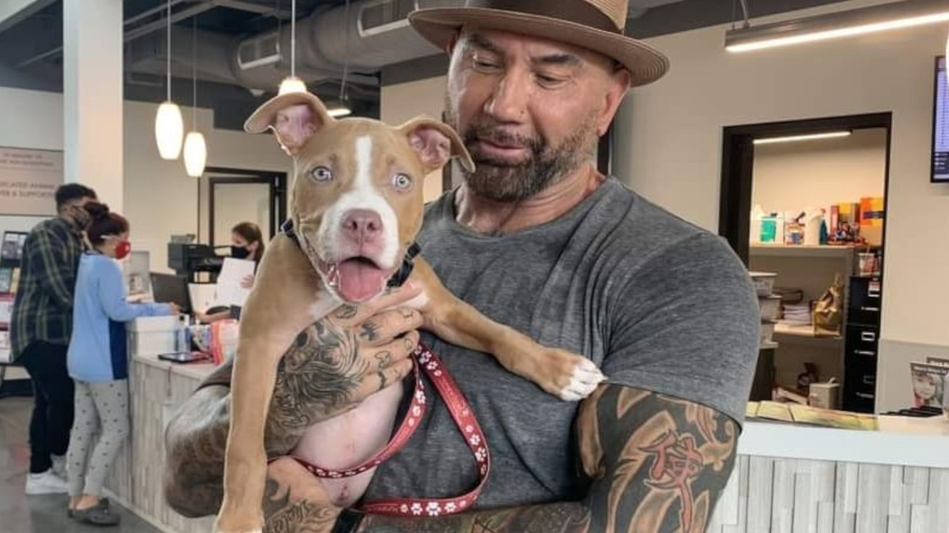 El bellísimo gesto de Dave Bautista con el perro maltratado que ha ...