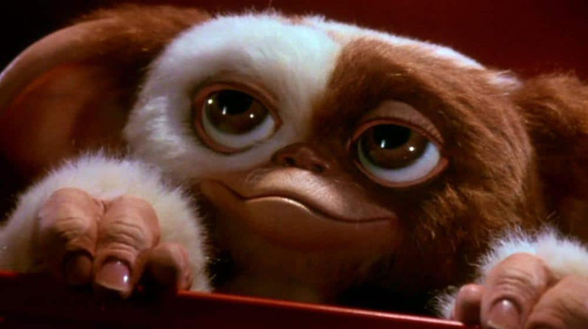 Gremlins se convirtió en un icono de la Navidad gracias a Steven Spielberg