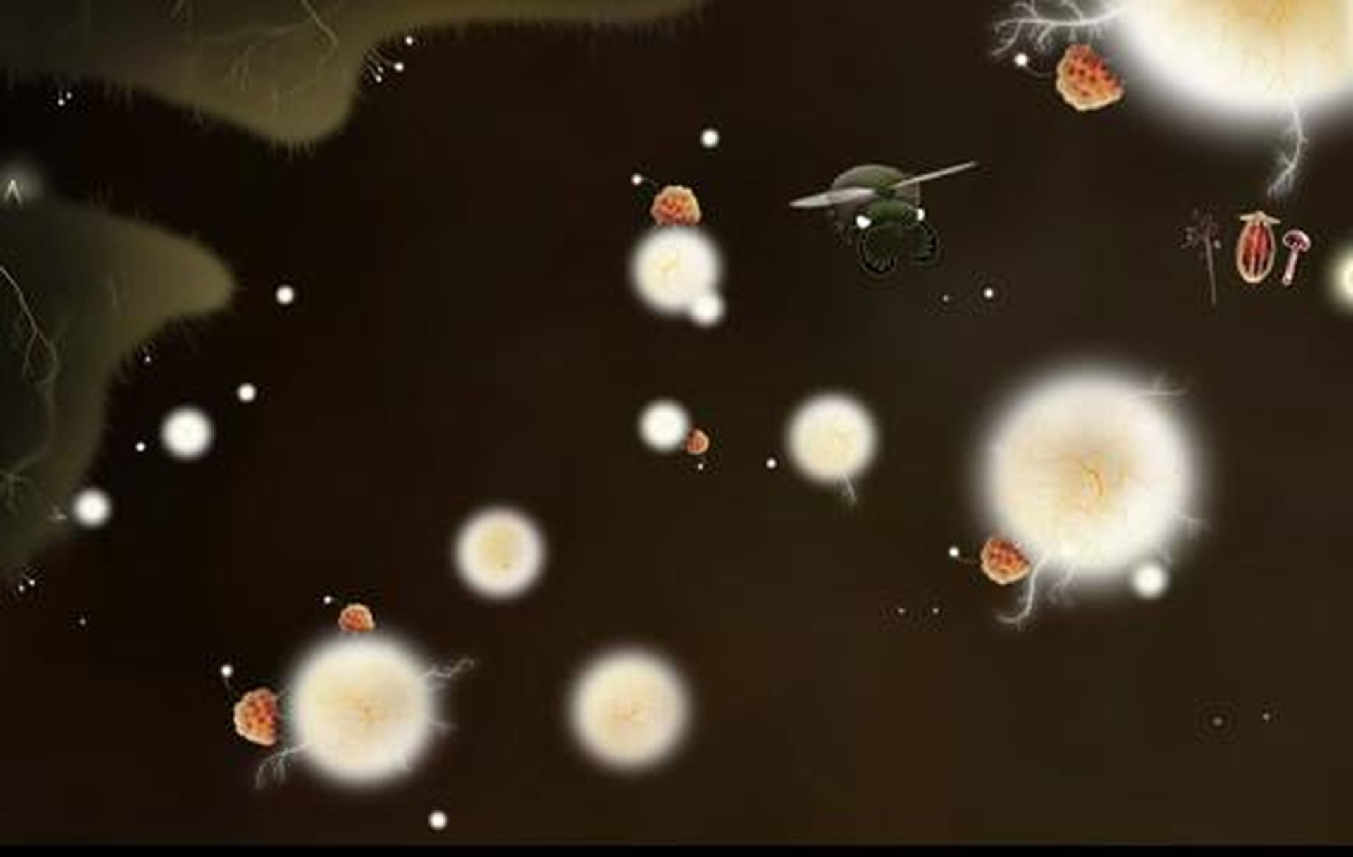 Botanicula | Hobby Consolas