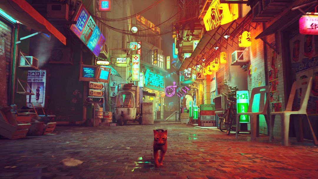 Stray, análisis de la aventura cyberpunk para PS5, PS4 y PC que debuta ...