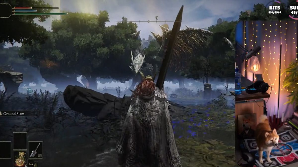 Este perro "streamer" está conquistando el corazón de los jugadores de ...