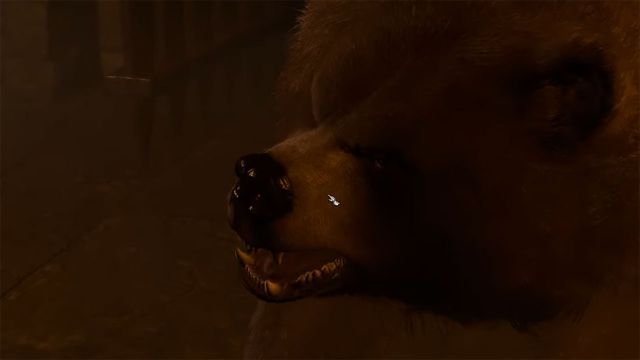 Cómo encontrar y reclutar a Halsin el druida en Baldur's Gate 3, uno de los mejores compañeros