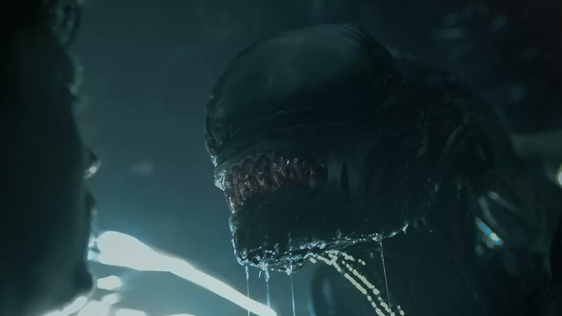 De Alien: El octavo pasajero a Alien: Romulus, la saga que sigue ...