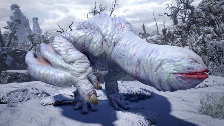 Una nueva especie de araña recién descubierta ha sido bautizada con el ...