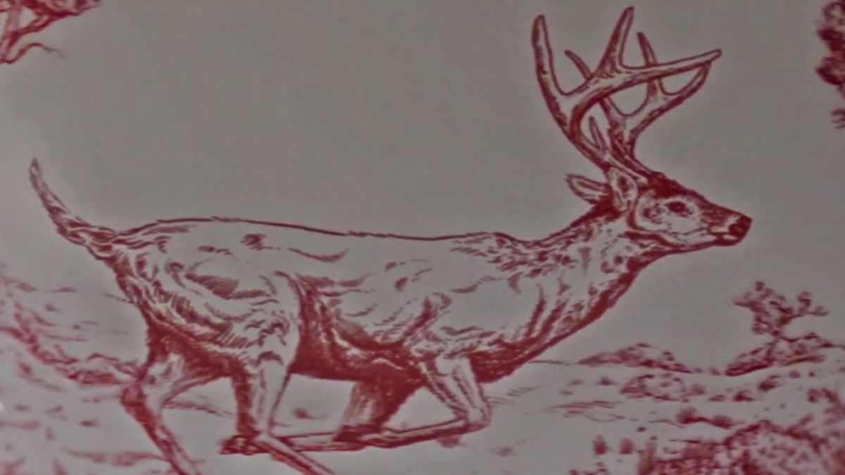 Teacup, la nueva serie de terror producida por James Wan, lanza un primer teaser