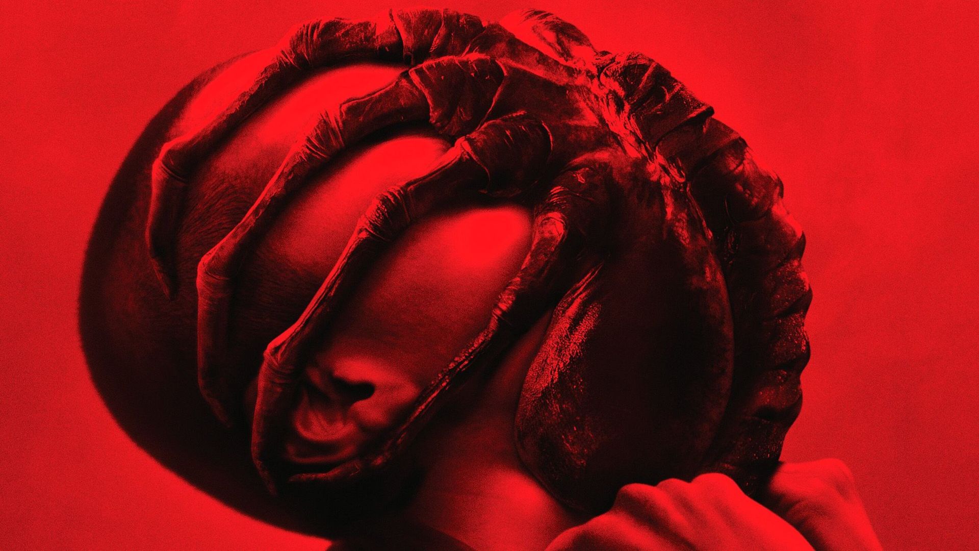 Alien: Romulus arrasa entre la crítica y se convierte en la tercera ...