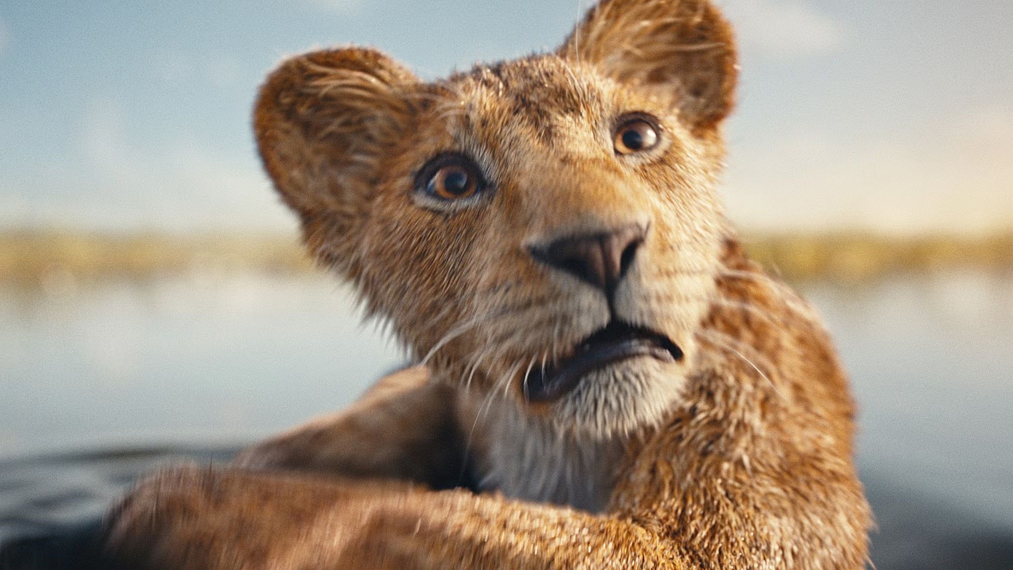 Mufasa: El rey león presenta nuevo póster oficial con los hermanos ...