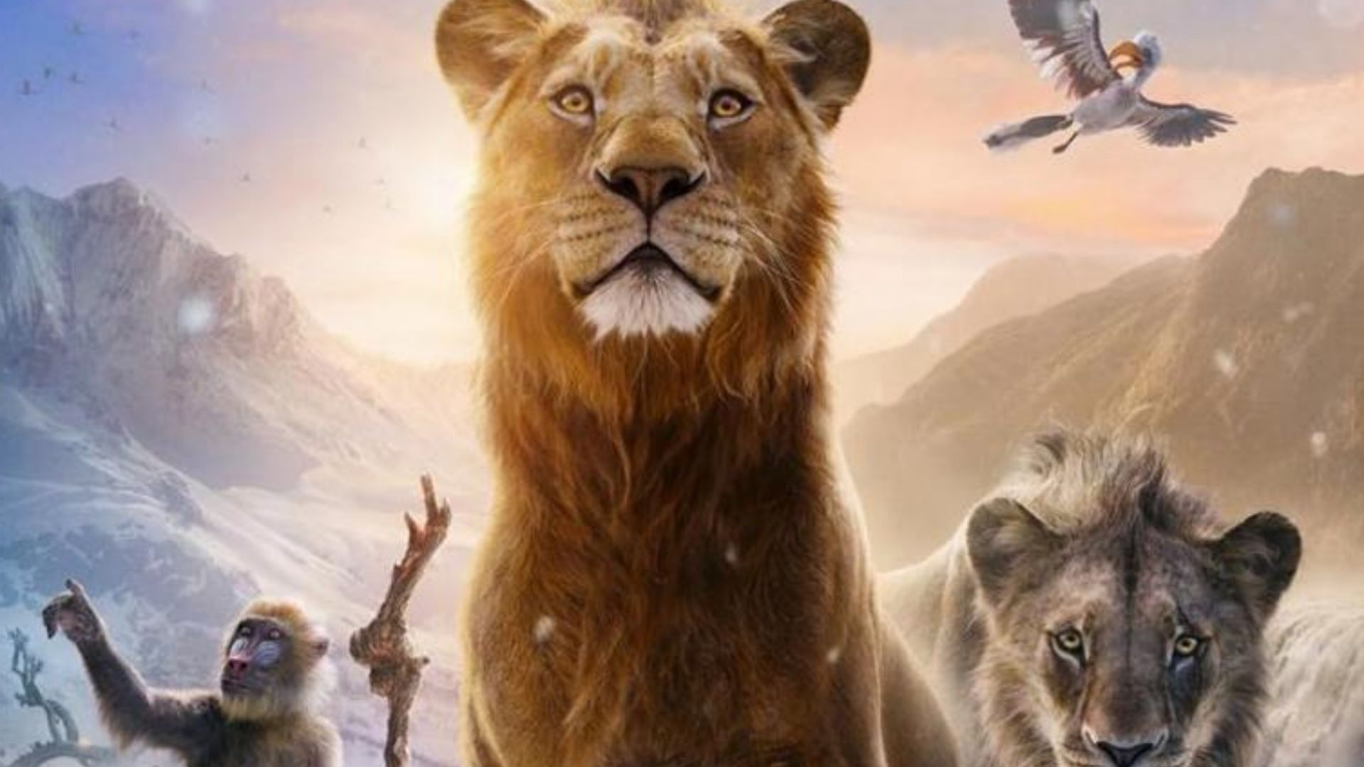 Mufasa saca un cubo de palomitas con el que te sentirás todo un rey león