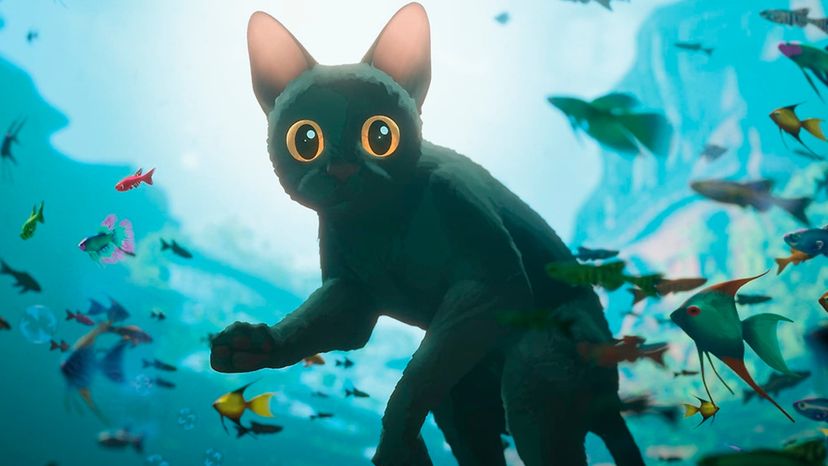 Crítica de Flow, un mundo que salvar, la ganadora del Globo de Oro a ...