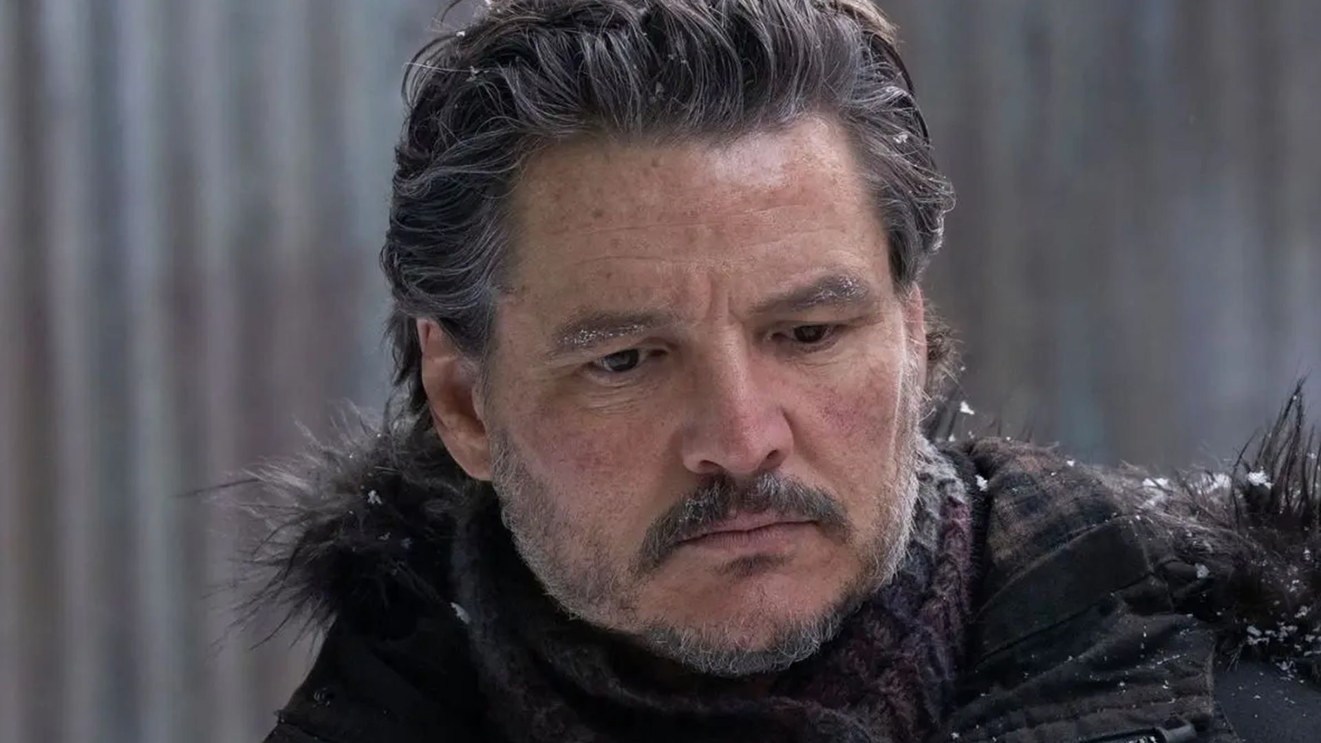 Crítica de The Last of Us 2x02: se acabó la falsa calma en las vidas de ...