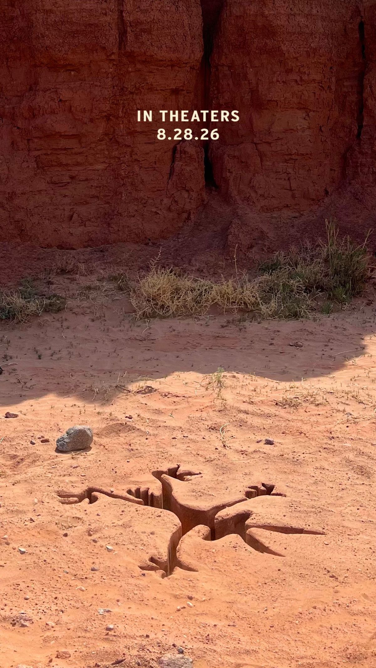 Coyote vs. Acme por fin anuncia su fecha de estreno en cines y presenta nuevas imágenes