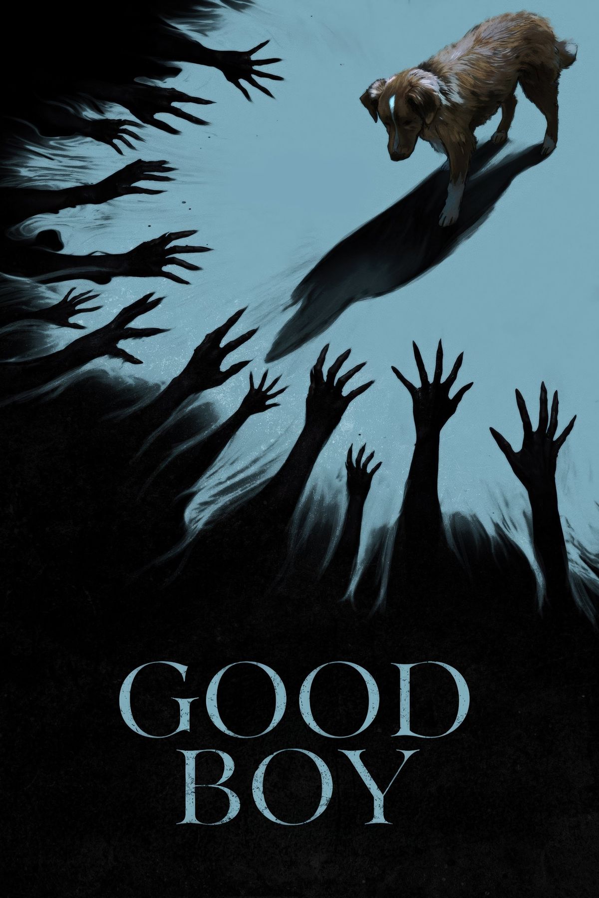 Good Boy, la película de terror narrada a través de un perro, se gana ...